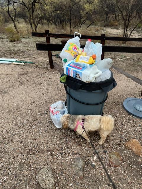 Trash Talking in the Park – Hidden Valley HOA of Tucson